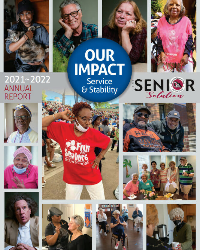 Detroit Area Agency on Aging | Detroit Senior Solution